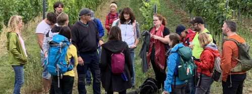 escapeX | Rätselerlebnisse in Mainz, Rheinhessen & Rheingau